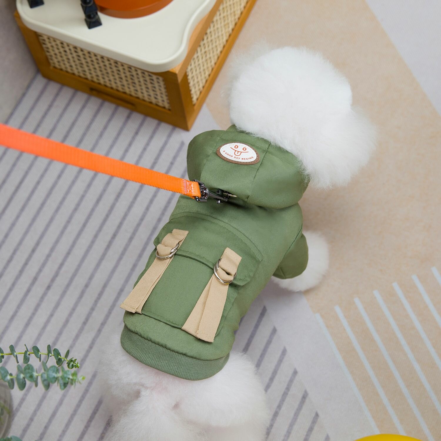 Зимняя куртка с капюшоном для маленьких собак