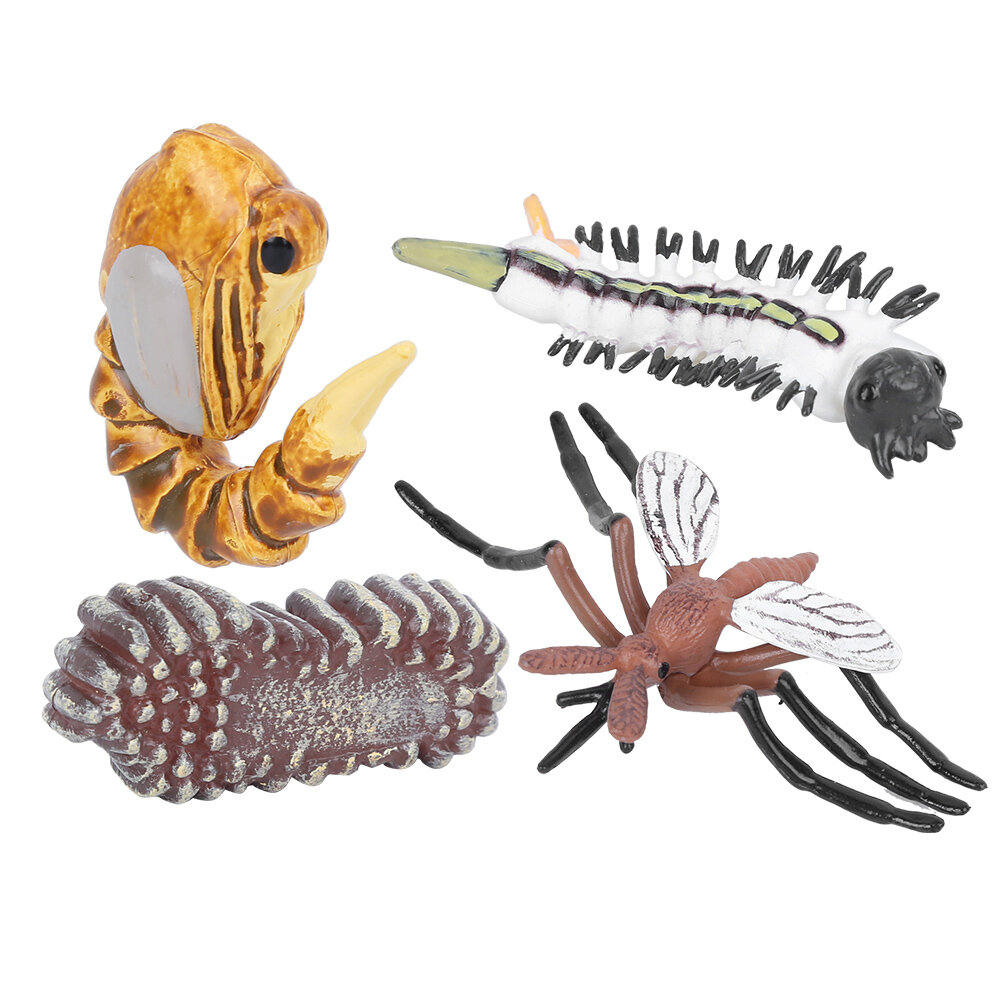 Модель цикла роста комаров, детская миниатюрная имитация животных, статуя раннего образования, игрушка