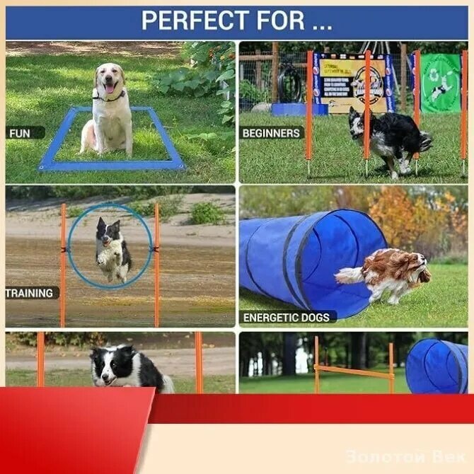 Комплект для дог-спорта, оборудование для тренировки собак, препятствия для собак