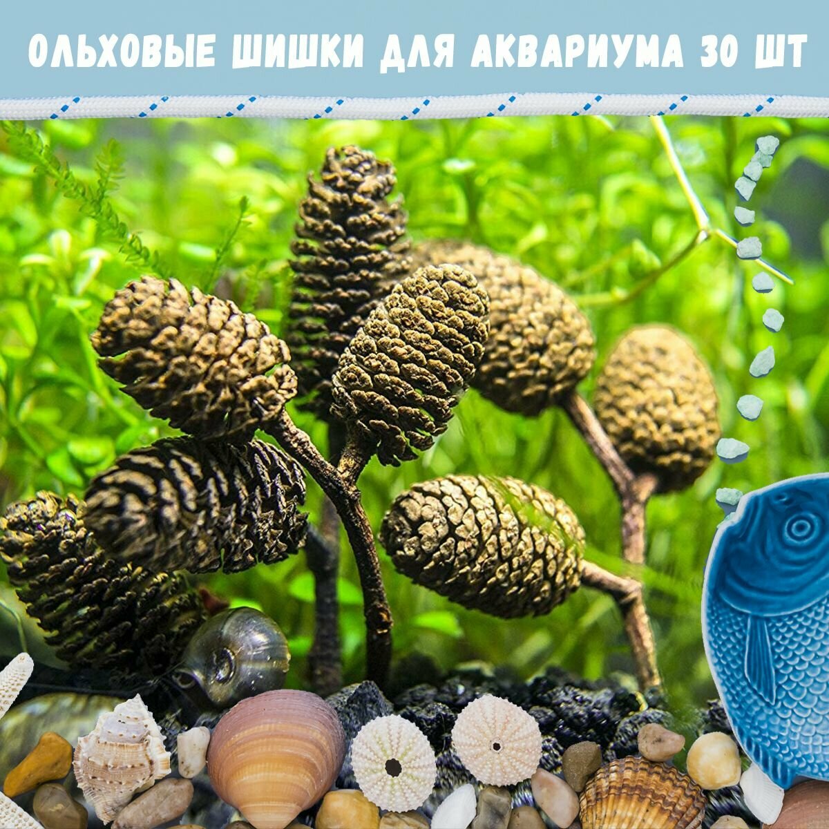 Шишки ольхи, декорации в аквариум, нормализатор pH в аквариуме 30 штук