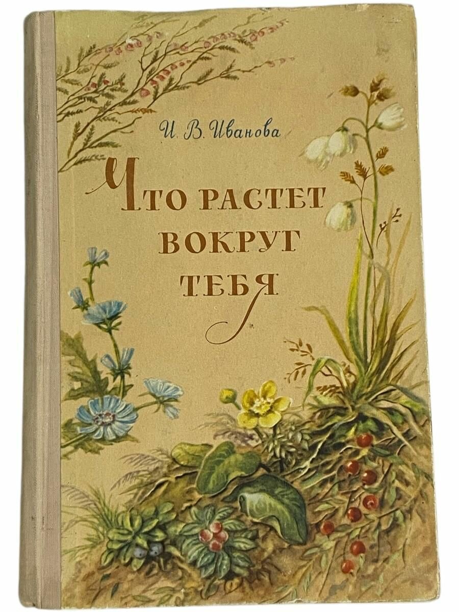 Что растет вокруг тебя. Определитель растений. 1962 г.
