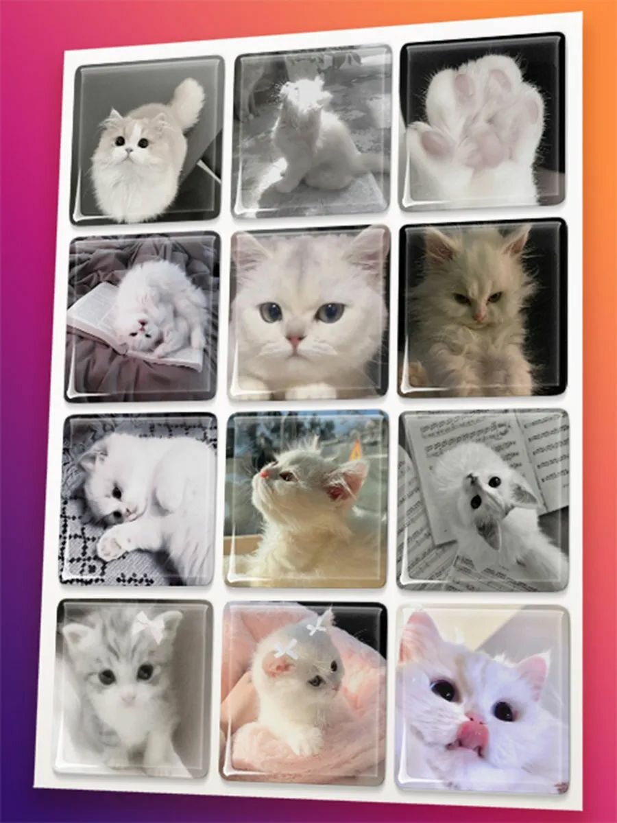3D стикеры белые коты