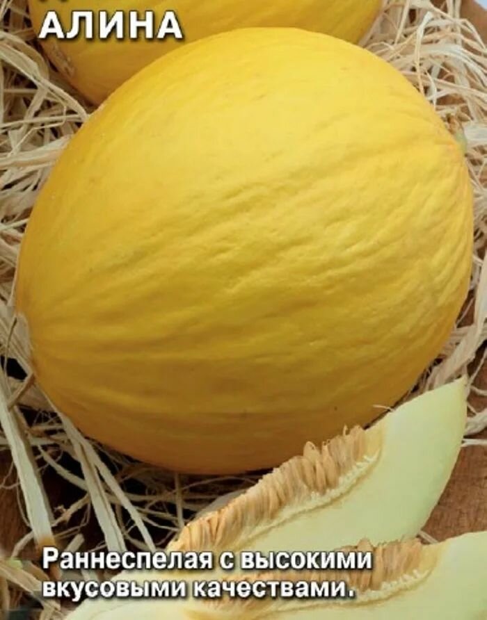 Коллекционные семена дыни Алина