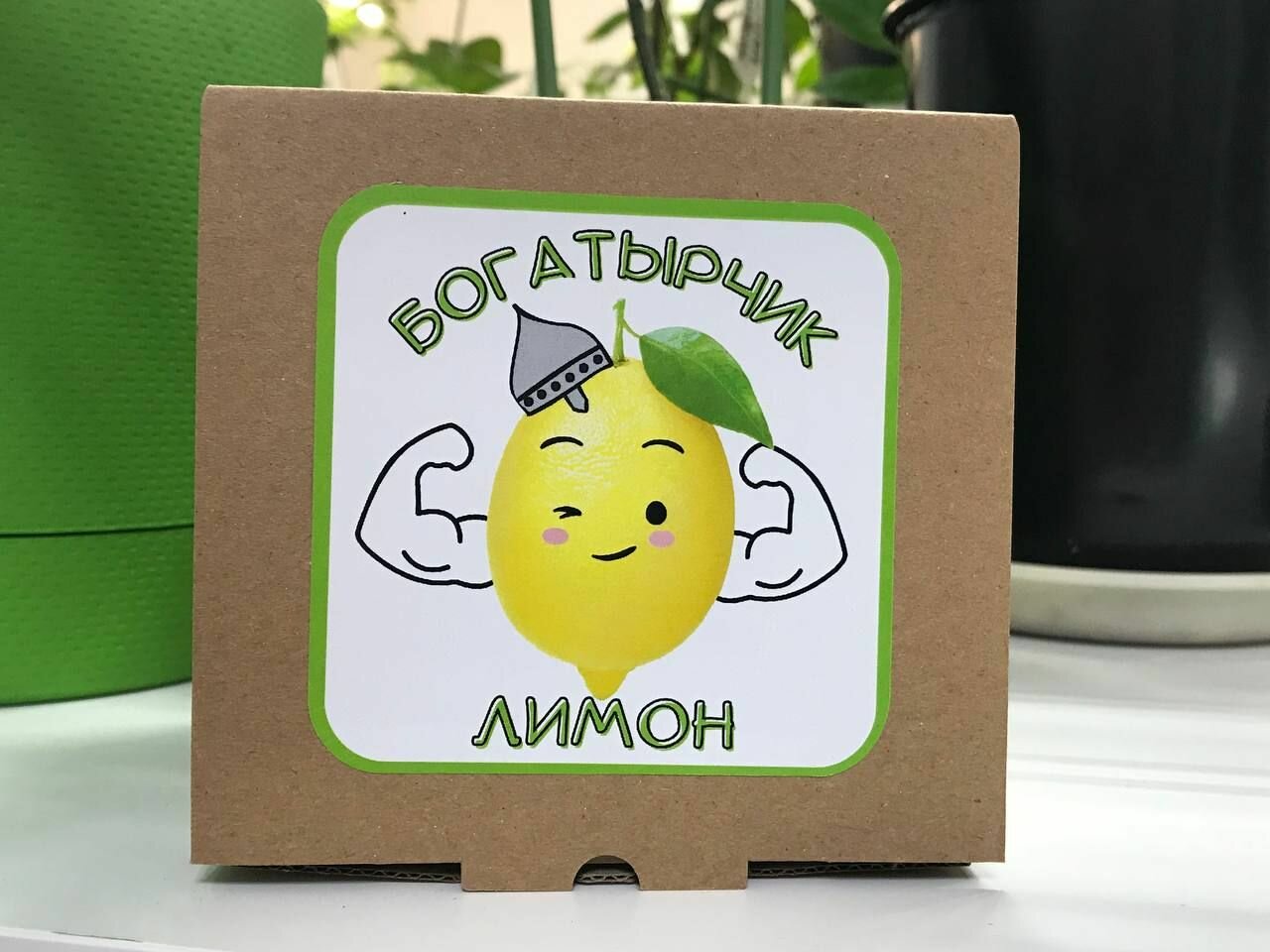 Лимон. Набор для выращивания растений "Богатырчик Лимон"
