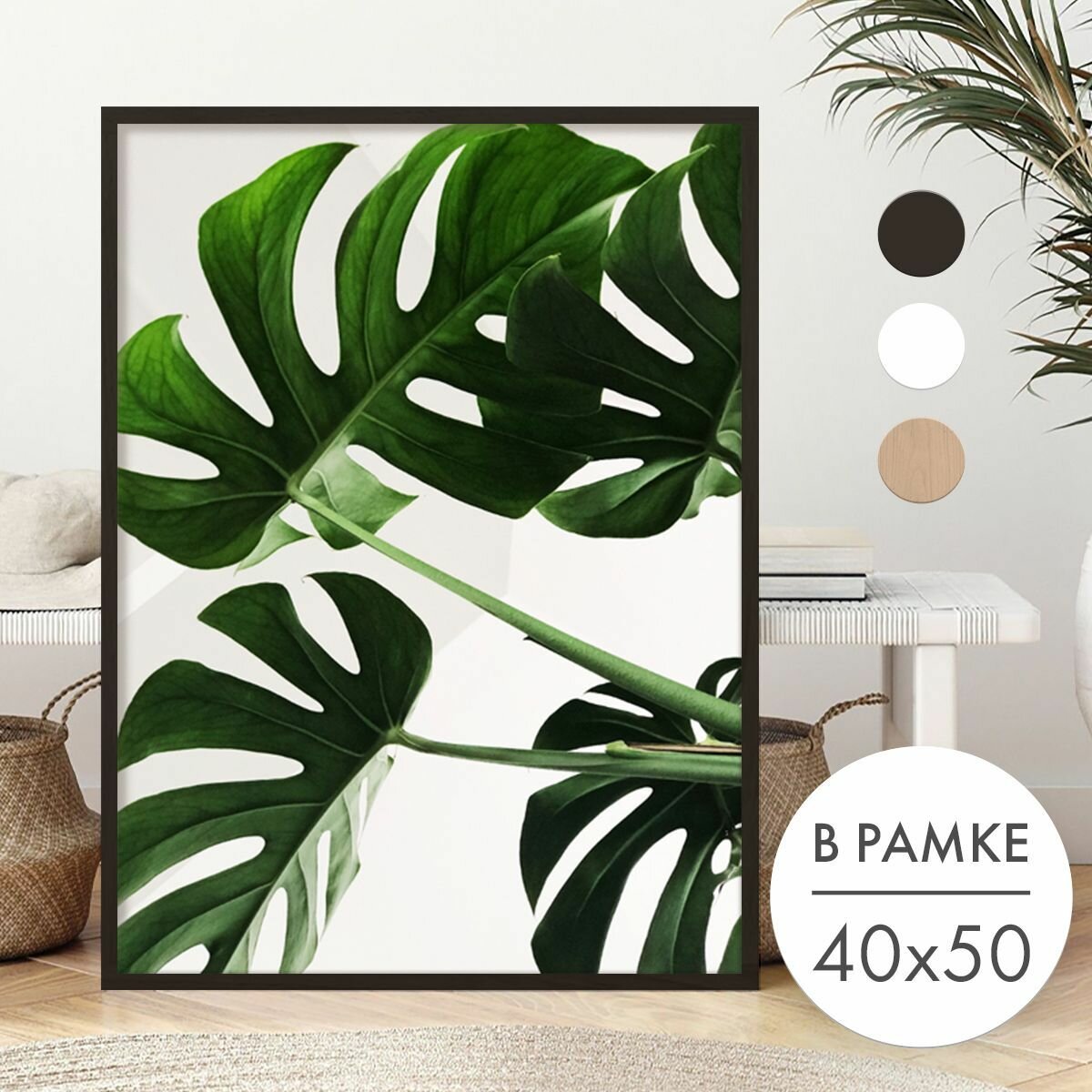 Постер 40х50 В рамке "Монстера зеленые листья" для интерьера