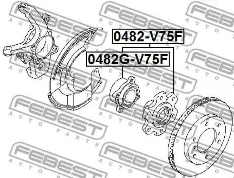 FEBEST 0482G-V75F Ступица передняя