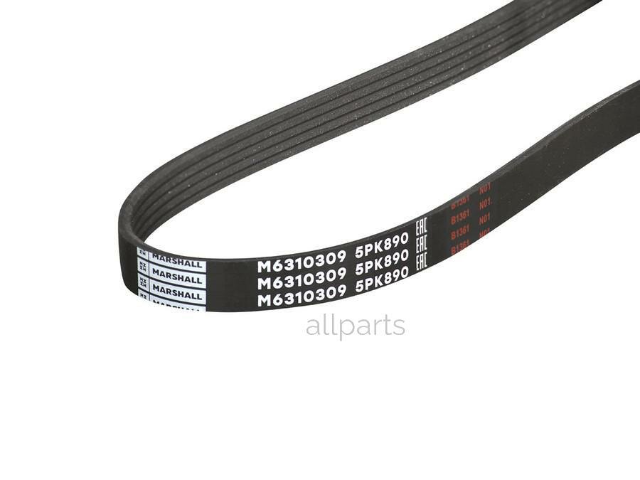 MARSHALL M6310309 Ремень поликлиновой 5PK890 Ford Kuga I 08-, Kia Rio III 11-, BMW 3 (E36) 90- / 5 (E34) 88- / 7 (E38) Hyundai: i30 I, Ford: Kuga I, Mondeo I, II, Kia: R Marshall M6310309
