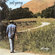 Neil Young - Old Ways (1 CD)