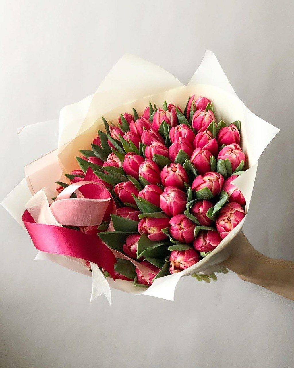 Букет из крупных малиновых пионовидных тюльпанов 51 шт. от FlowersGo