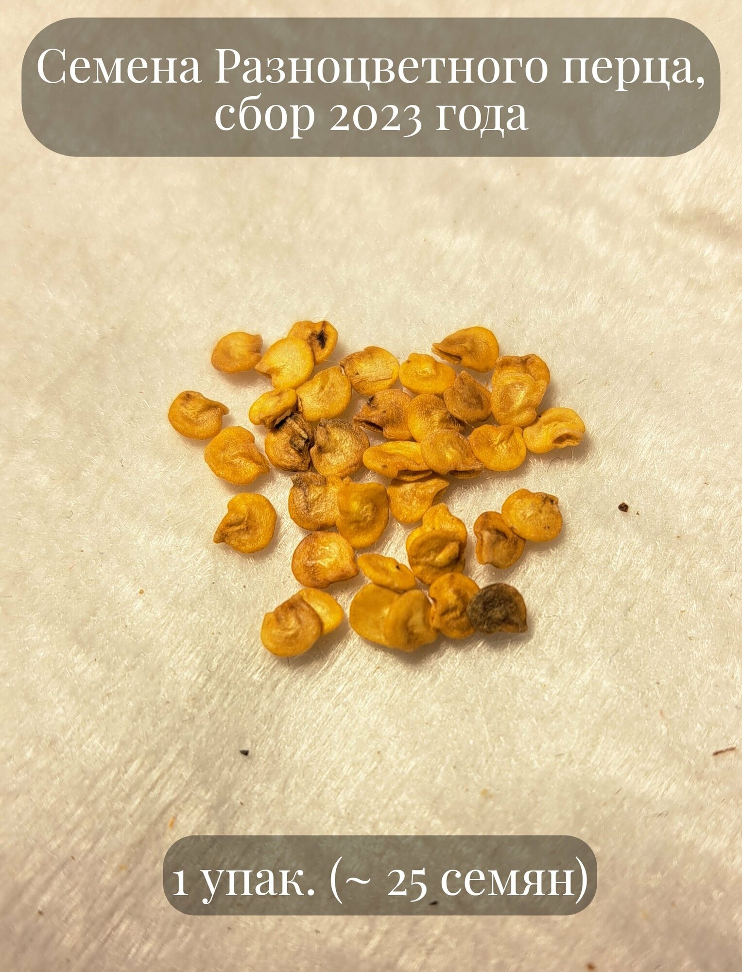 Семена карликового разноцветного перца