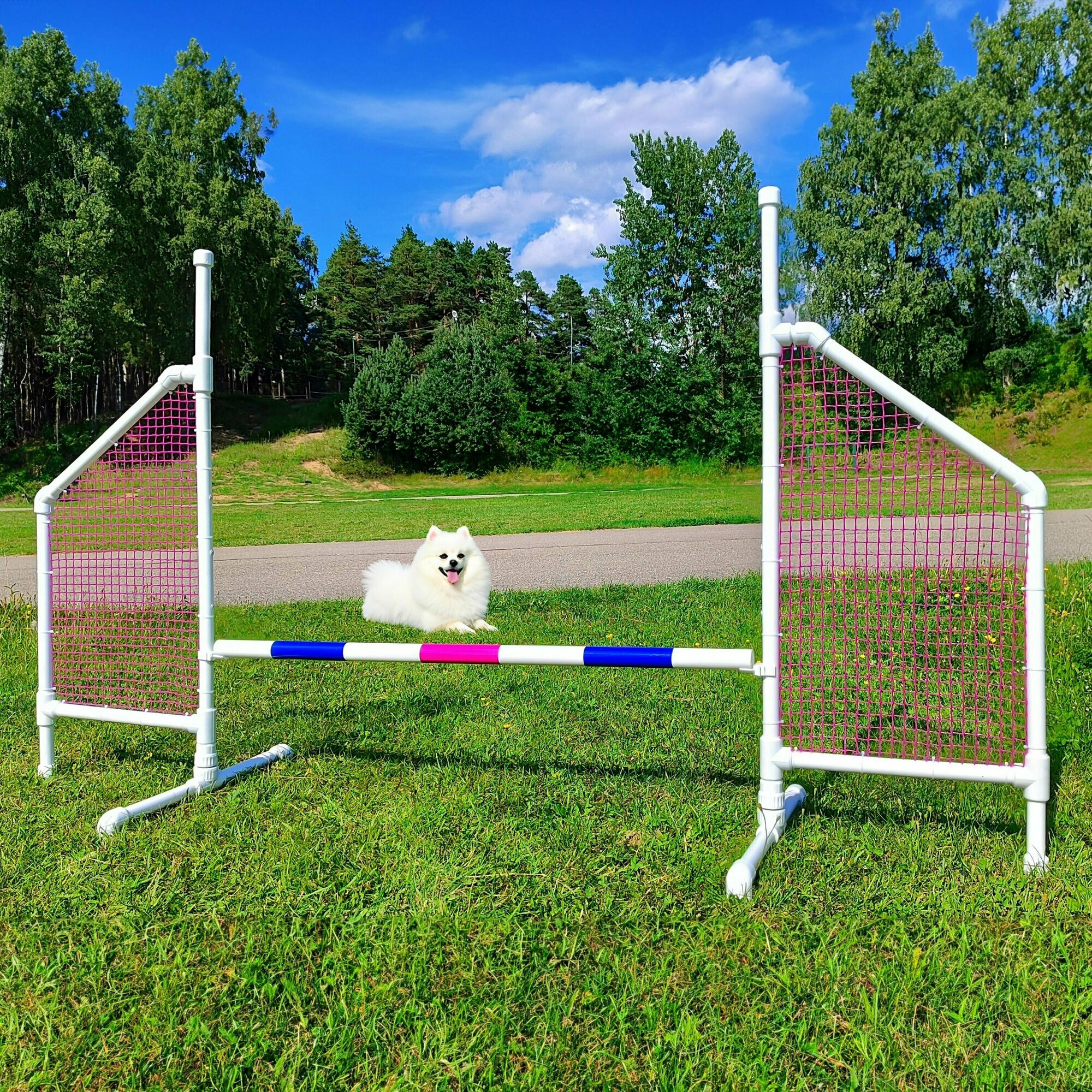 Барьер тренировочный для аджилити