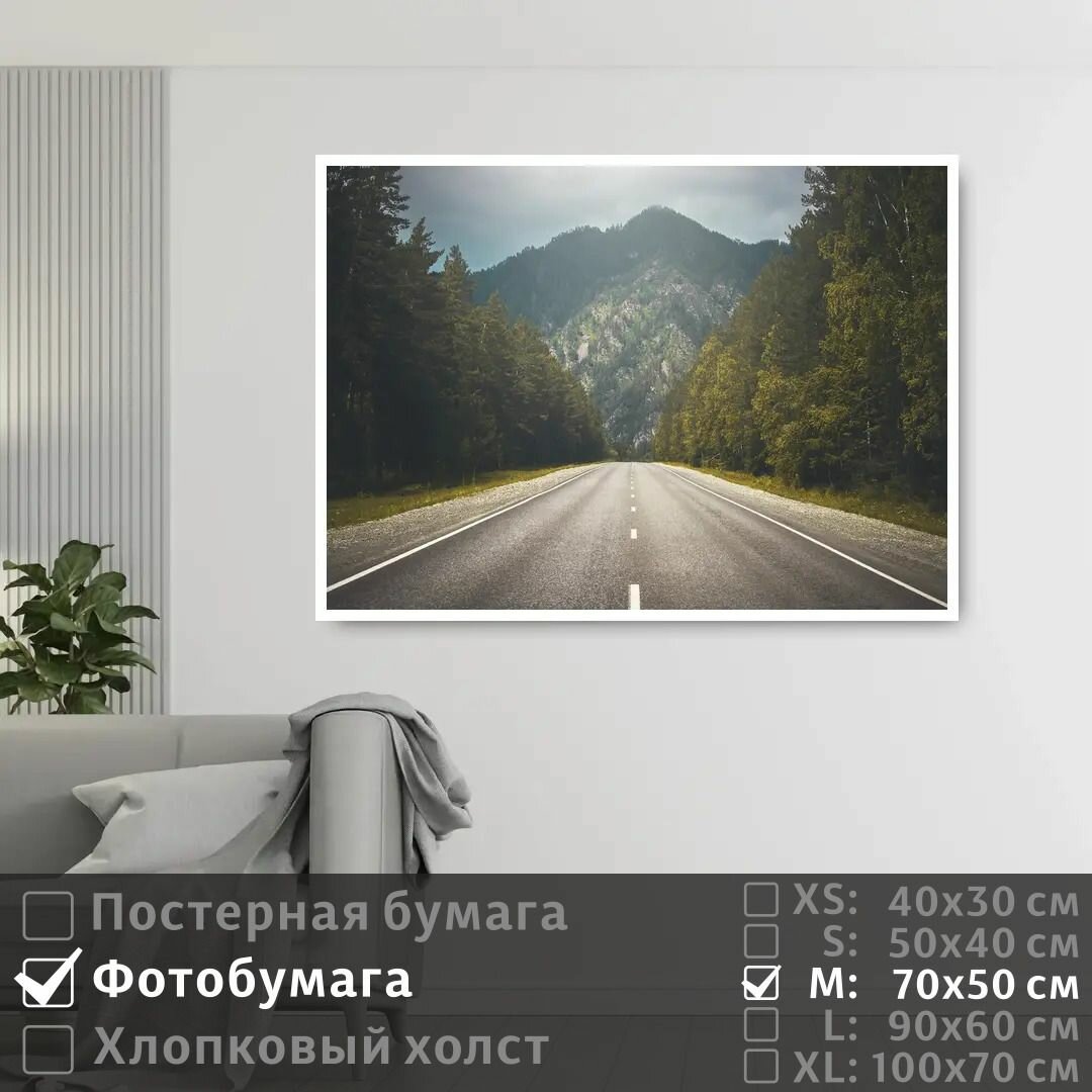 Постер на фотобумаге Дальняя Дорога В Горы Вдоль Соснового Леса 70х50 см ПолиЦентр