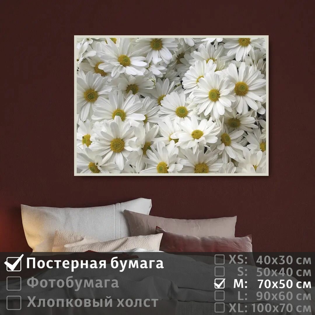 Постер на стену Белые Цветы Ромашки 70х50 см ПолиЦентр