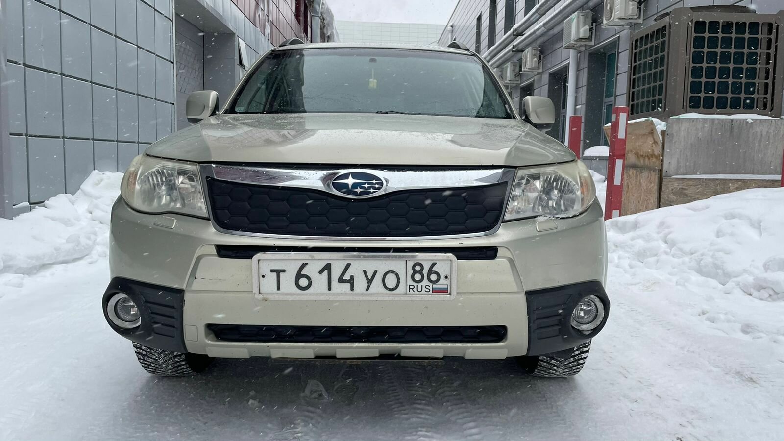 Утеплитель радиатора и бампера Subaru Forester (2007 -2011) (SH) Субару Форестер