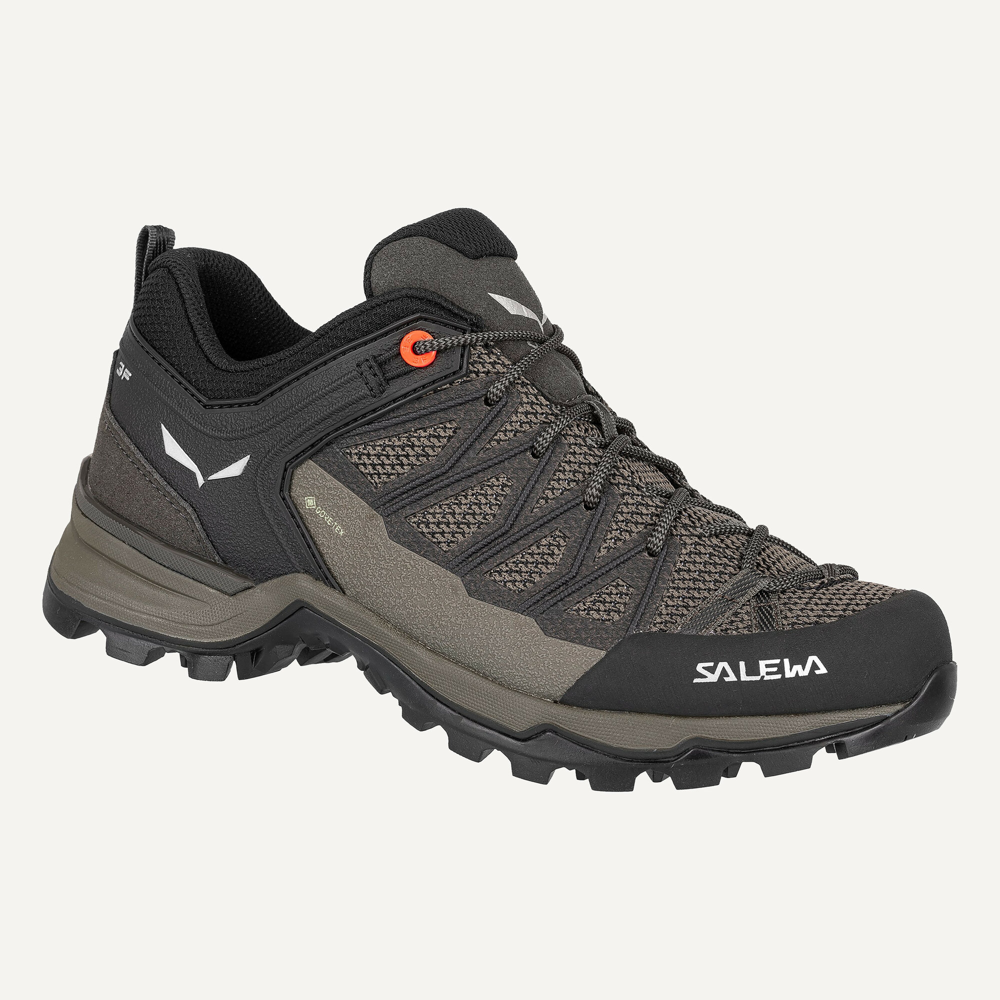 Ботинки Mountain Trainer Lite GTX WS