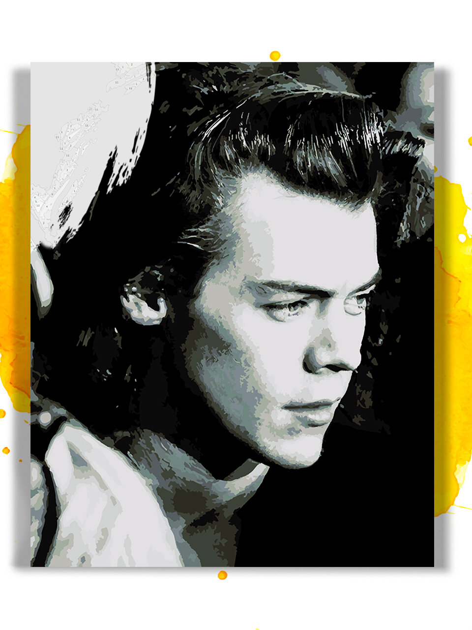 Картина по номерам на холсте Harry Styles ЧБ 2, 40 х 50 см