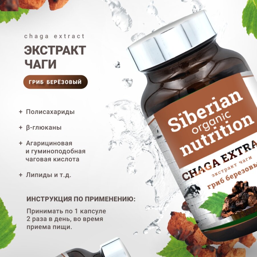 Экстракт Чаги Березовой, в капсулах, для иммунитета, 60 штук — фото 1