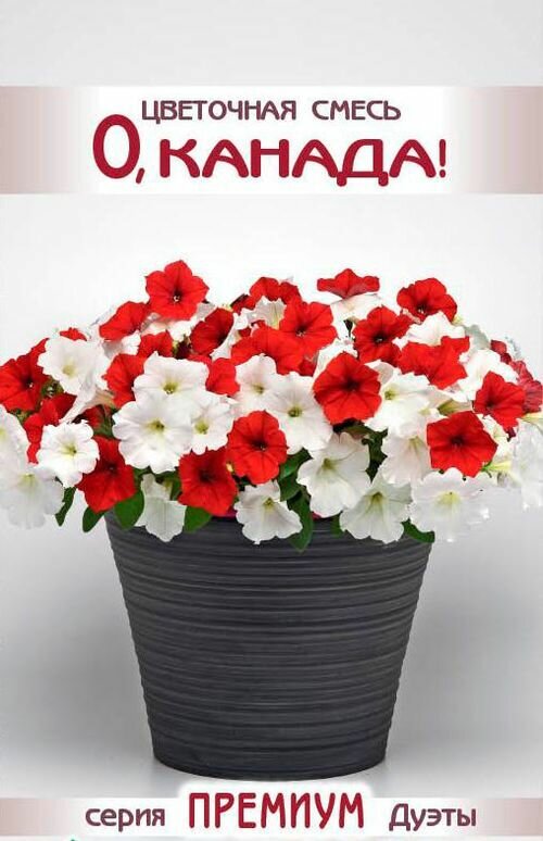 Цветочная смесь О, Канада