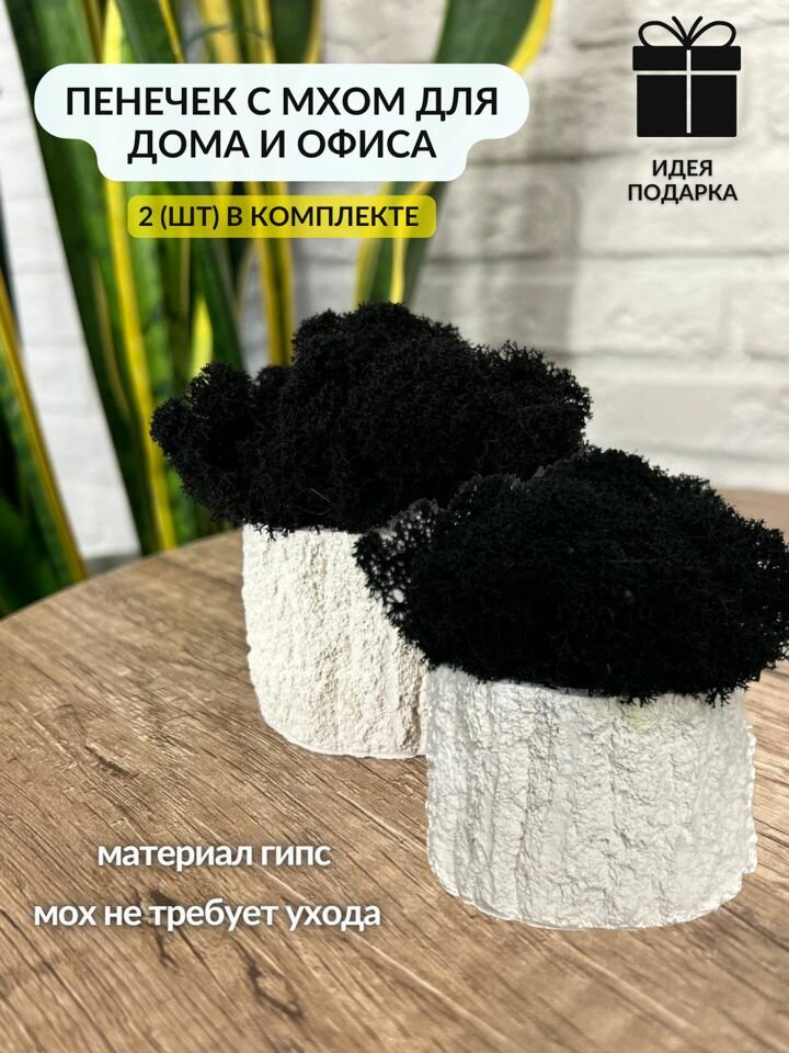 Пеньки со стабилизированным мхом комплект 2 шт.