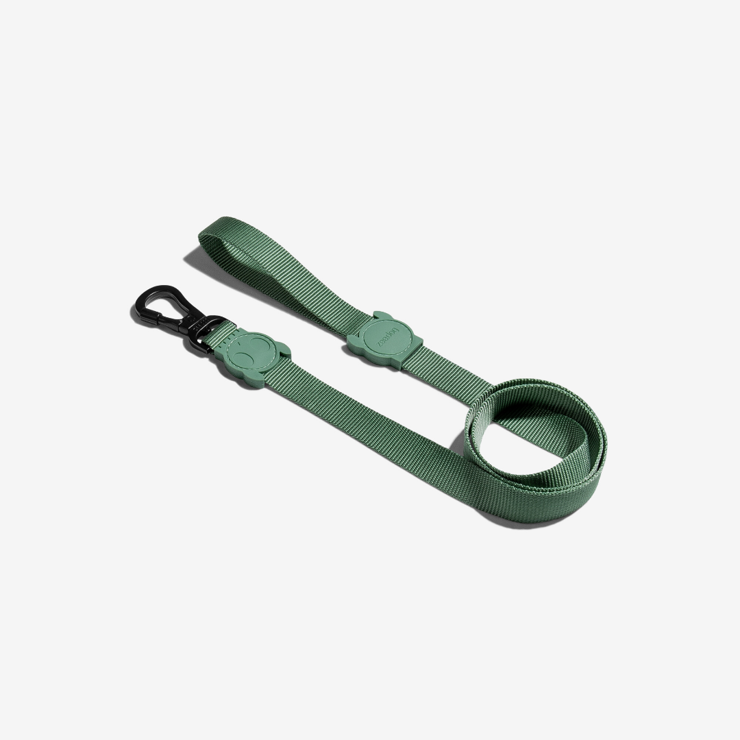 Поводок ARMY GREEN 120 см Zee.Dog (зеленый / S / 120 см)