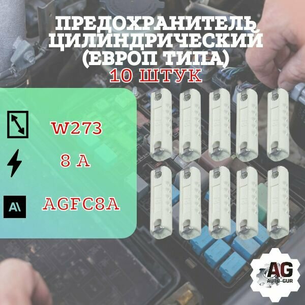 Предохранитель цилиндрический (европ типа) W273 (8 Ампер) 10 штук