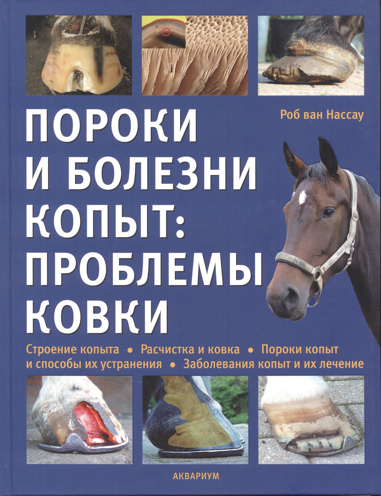Пороки и болезни копыт: проблемы ковки.