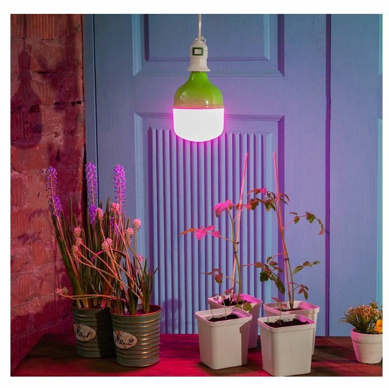 Фитолампа светодиодная Uniel Фитолето E27 20 Вт цилиндр красно-синего спектра для растений