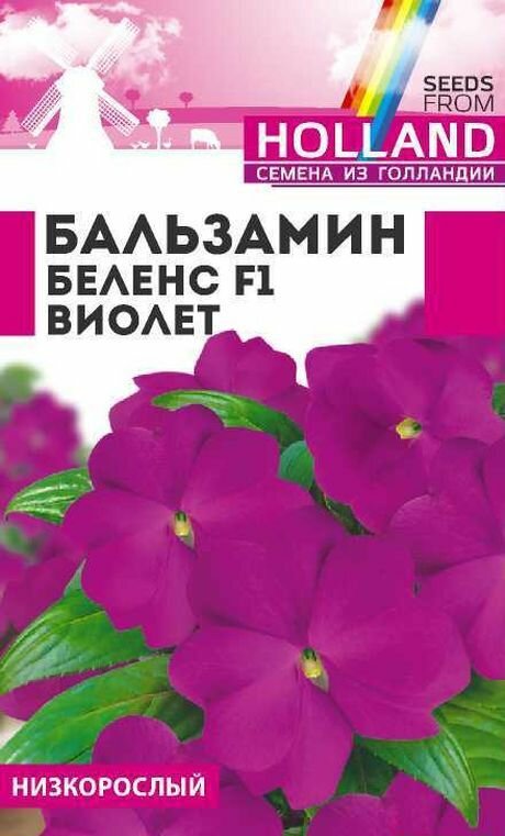 Семена растения Бальзамин Беленс Виолет