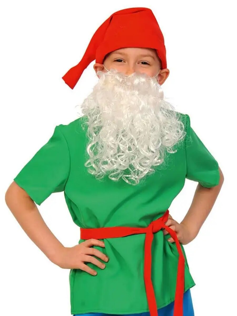 Костюм Гном Добряк, ткань, для мальчиков, размер 30, рост 116-122 см, на 6-7 лет, Карнавалофф