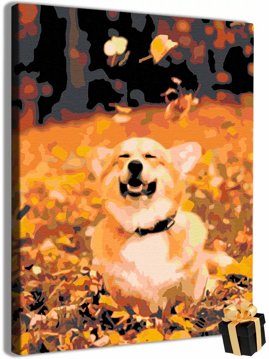 Картина по номерам Корги