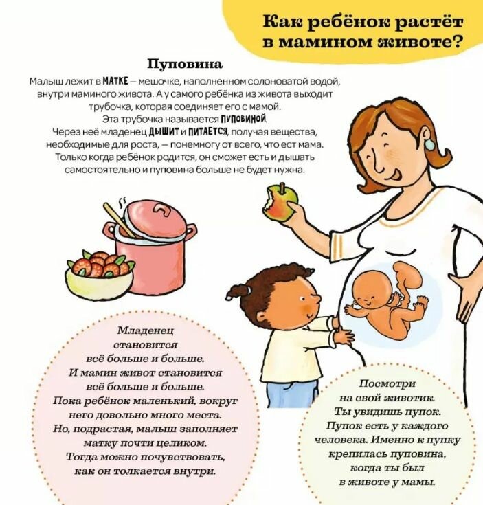 Откуда берутся дети — фото 1