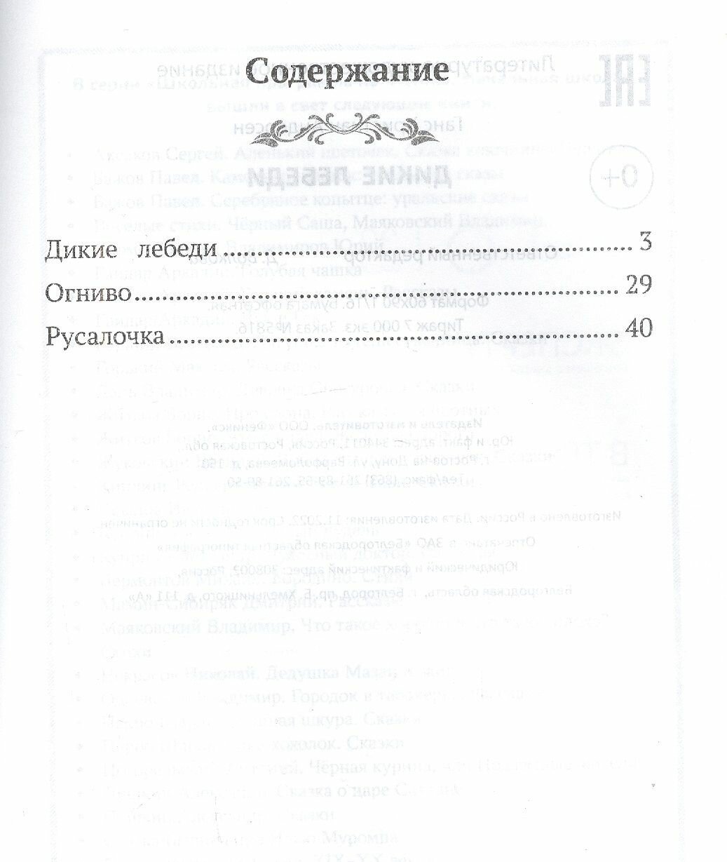 Дикие лебеди — фото 1