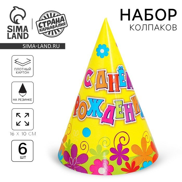 Бумажные колпаки «С днём рождения! Цветы», набор 6 шт, 16 см