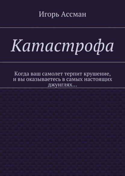 Катастрофа [Цифровая книга]