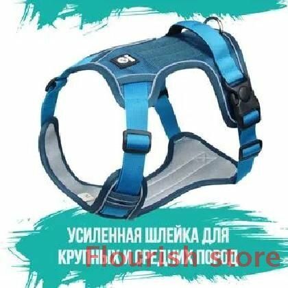 Шлейка