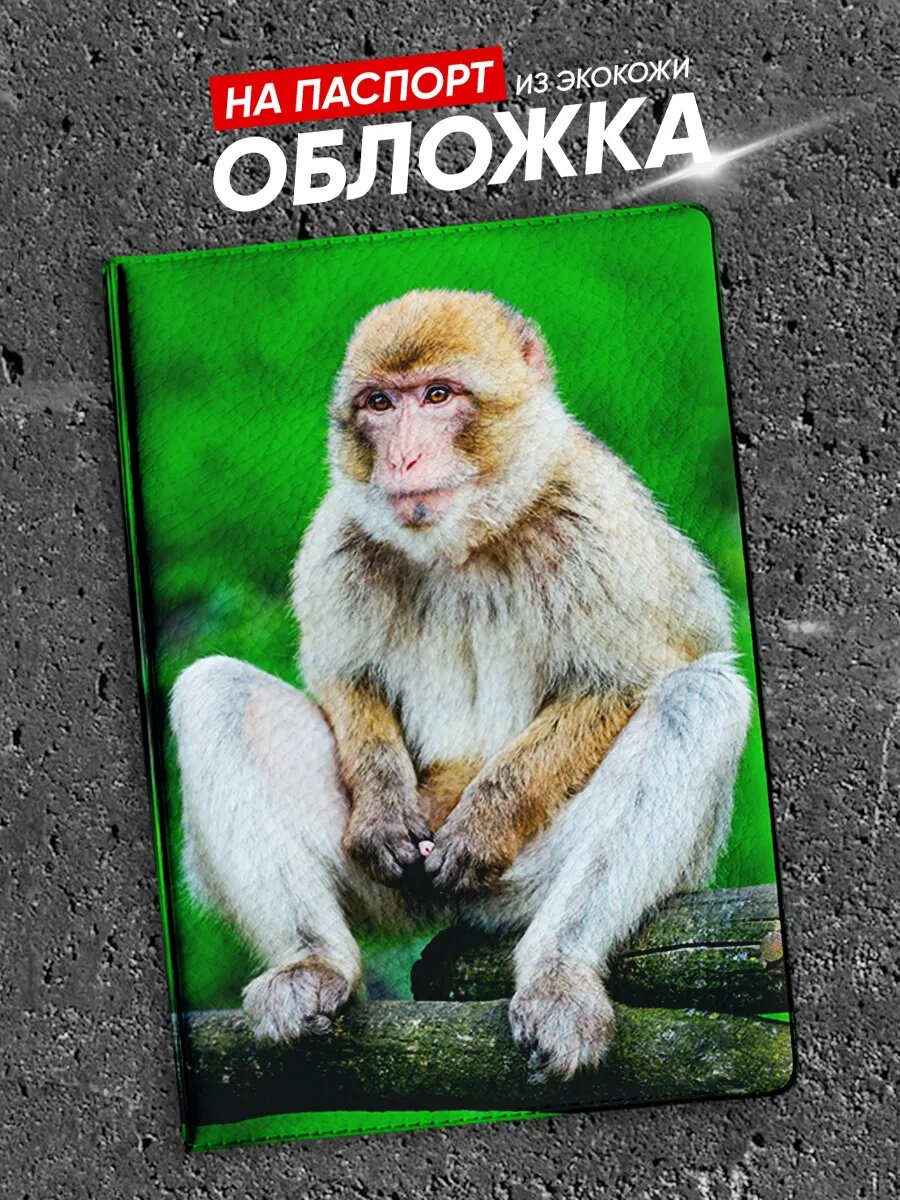 Обложка для паспорта