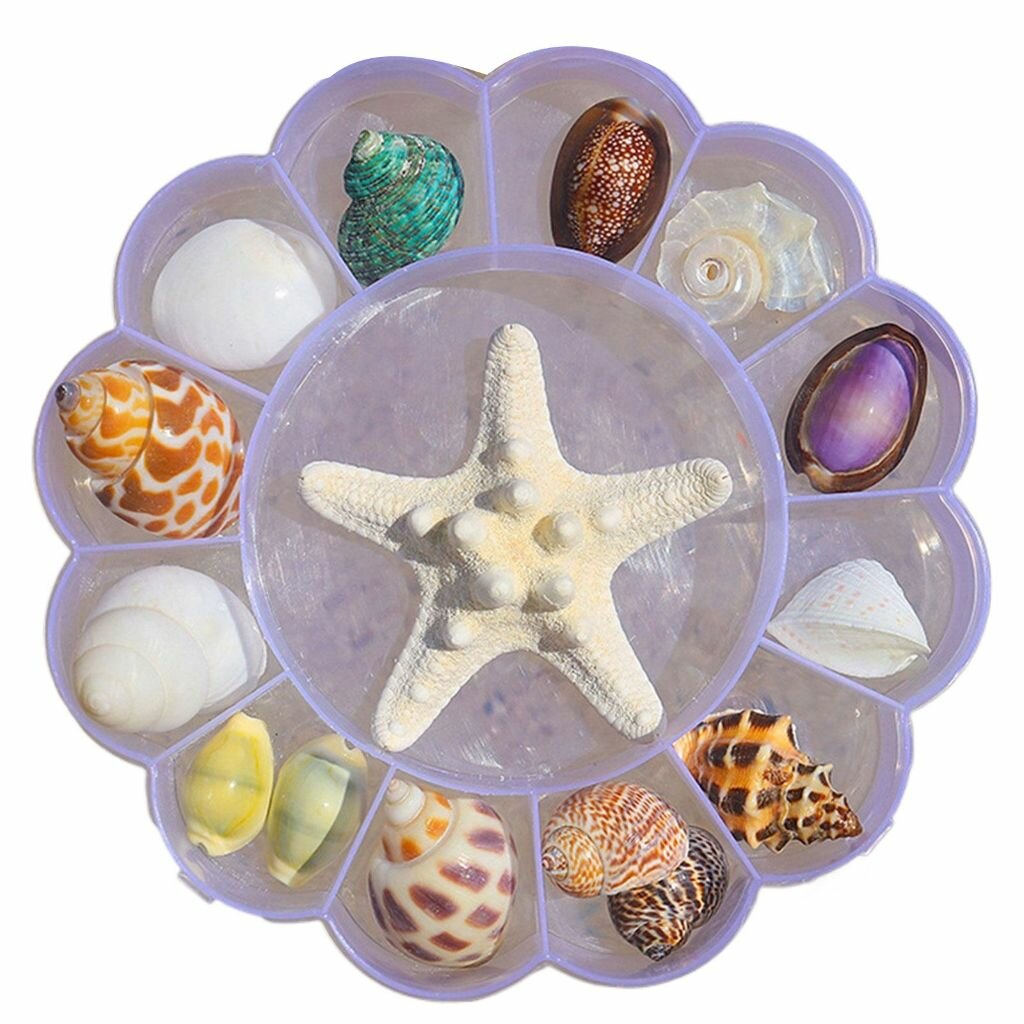 Коробка для хранения ракушек Новая квадратная прозрачная с прозрачными тенями