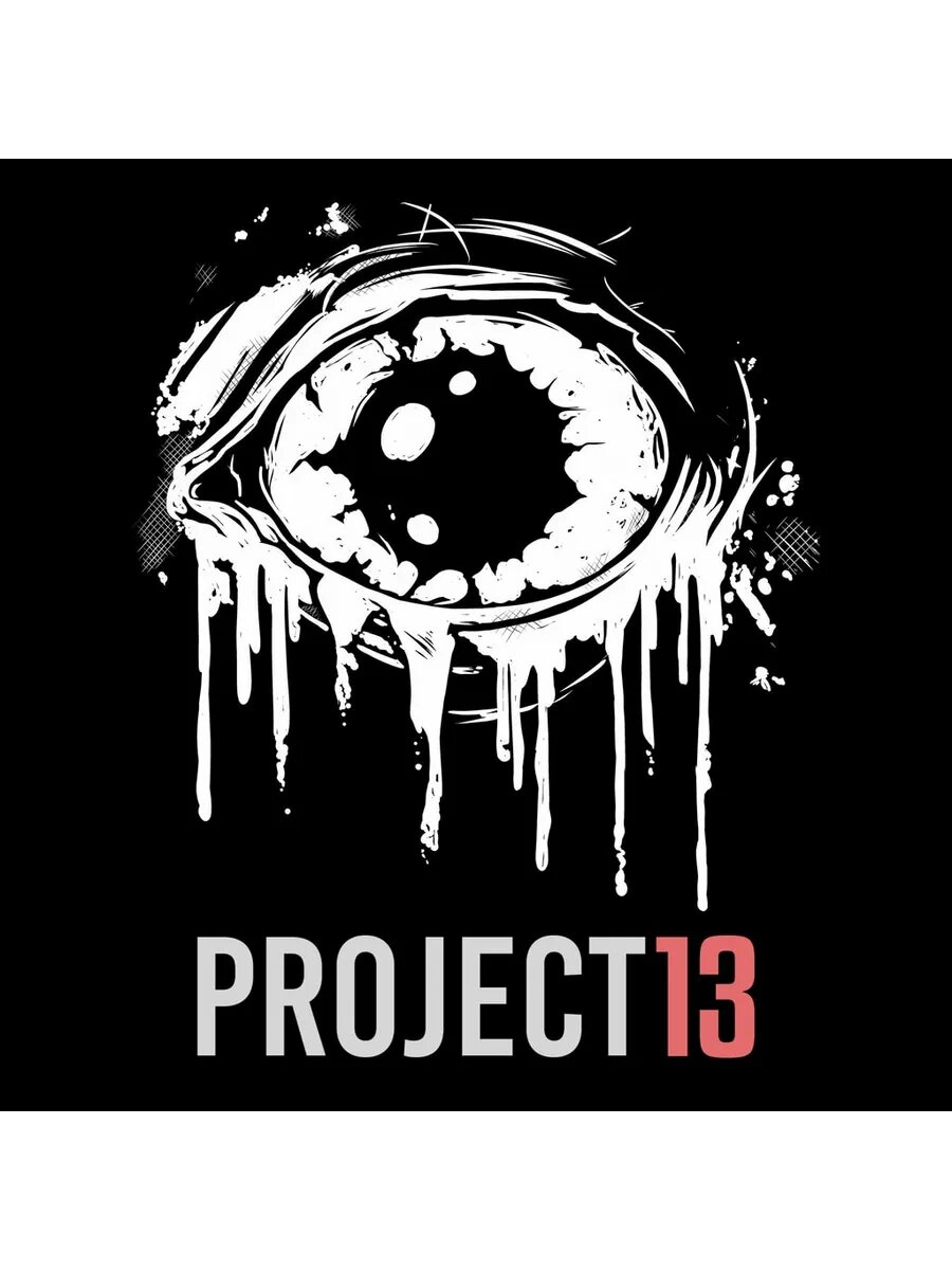 Project 13 PS5