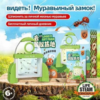 Вертикальная муравьиная ферма XL 19х16см "Мята" Большой набор