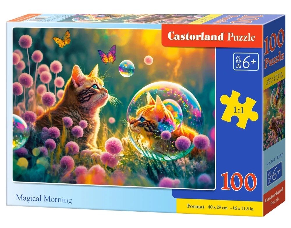 Castorland Пазлы Волшебное утро 100 деталей 1237/B9-111237 с 6 лет