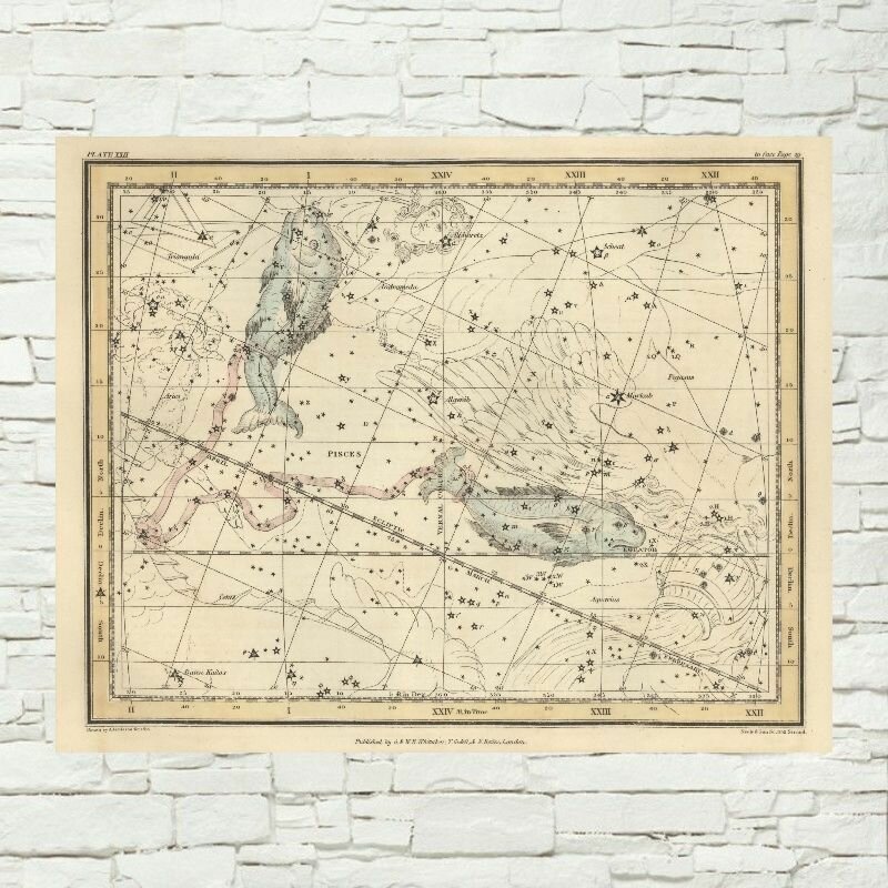 Старинная Карта созвездий. Рыбы. (репринт карты 1822 года).