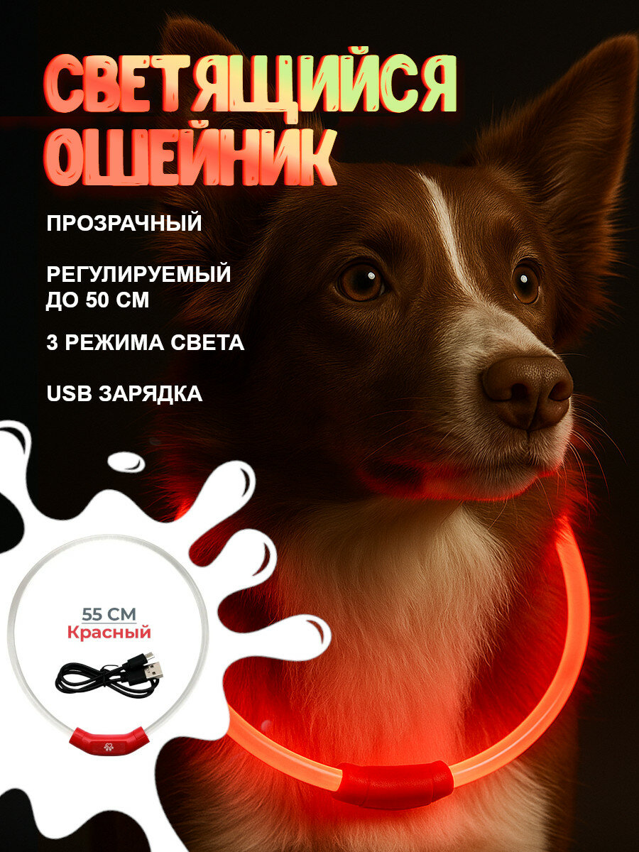 Ошейник светящийся светодиодный для собак с USB зарядкой 55 см, прозрачный с красным