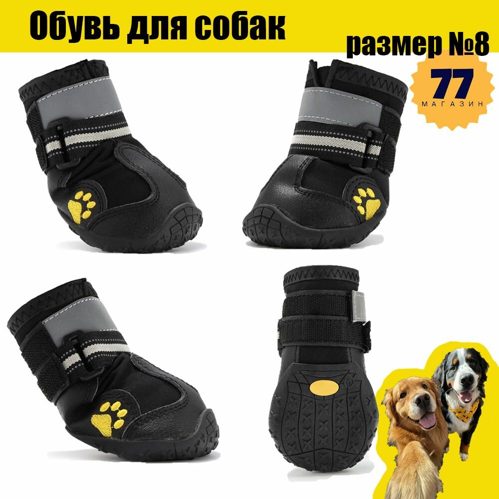 Обувь для собак