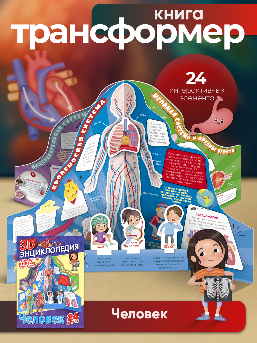 Книга-трансформер. 3D-энциклопедия. Человек, ND Play