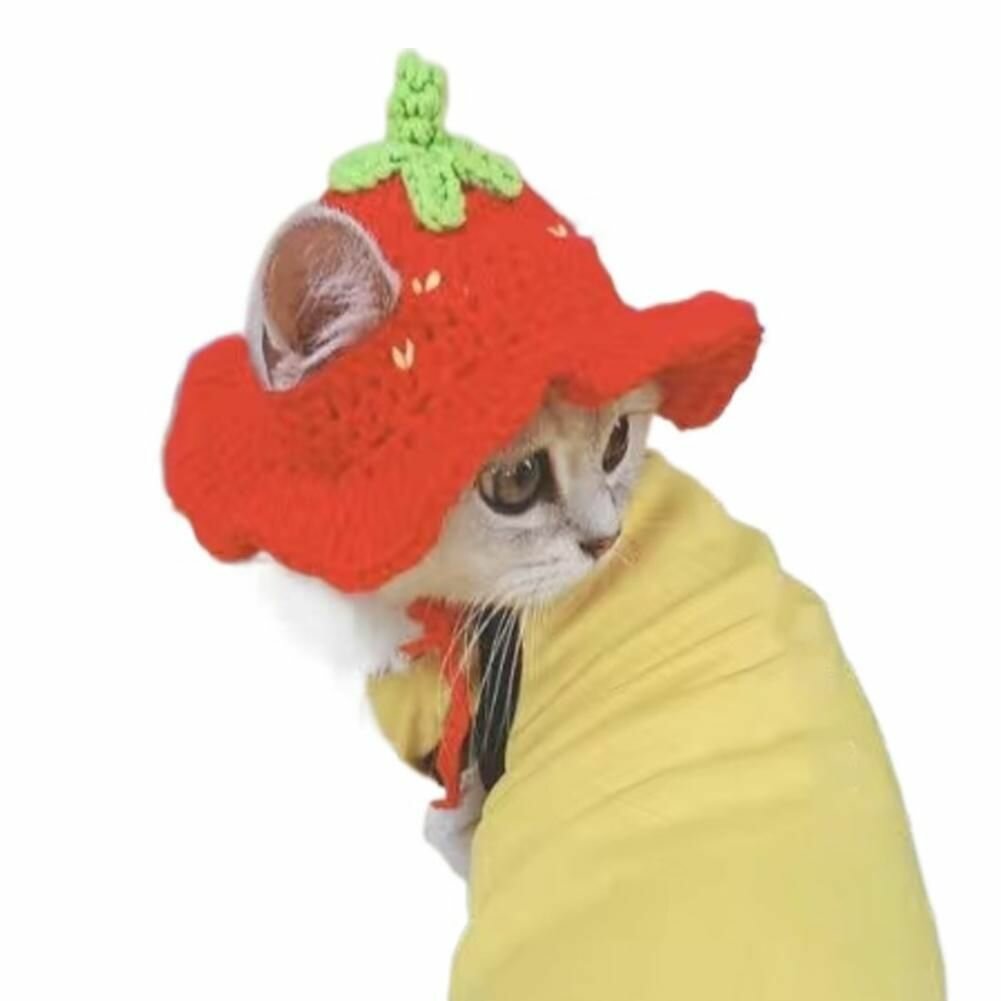 Милые вязаные шапочки для кошек