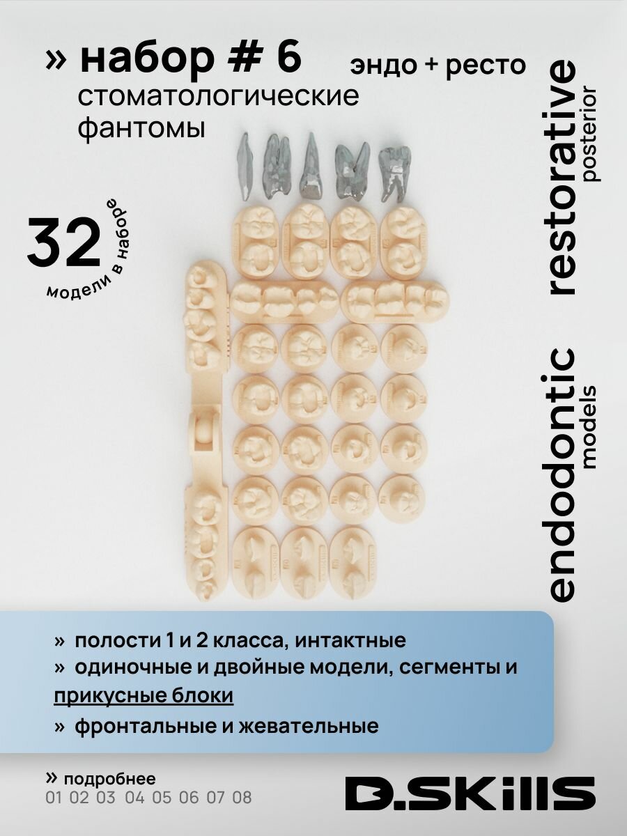 SET #6 Модели зубов для реставрации + эндомодели
