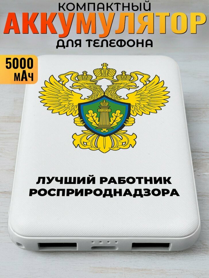 Повербанк "Лучший работник росприроднадзора" Росприроднадзор