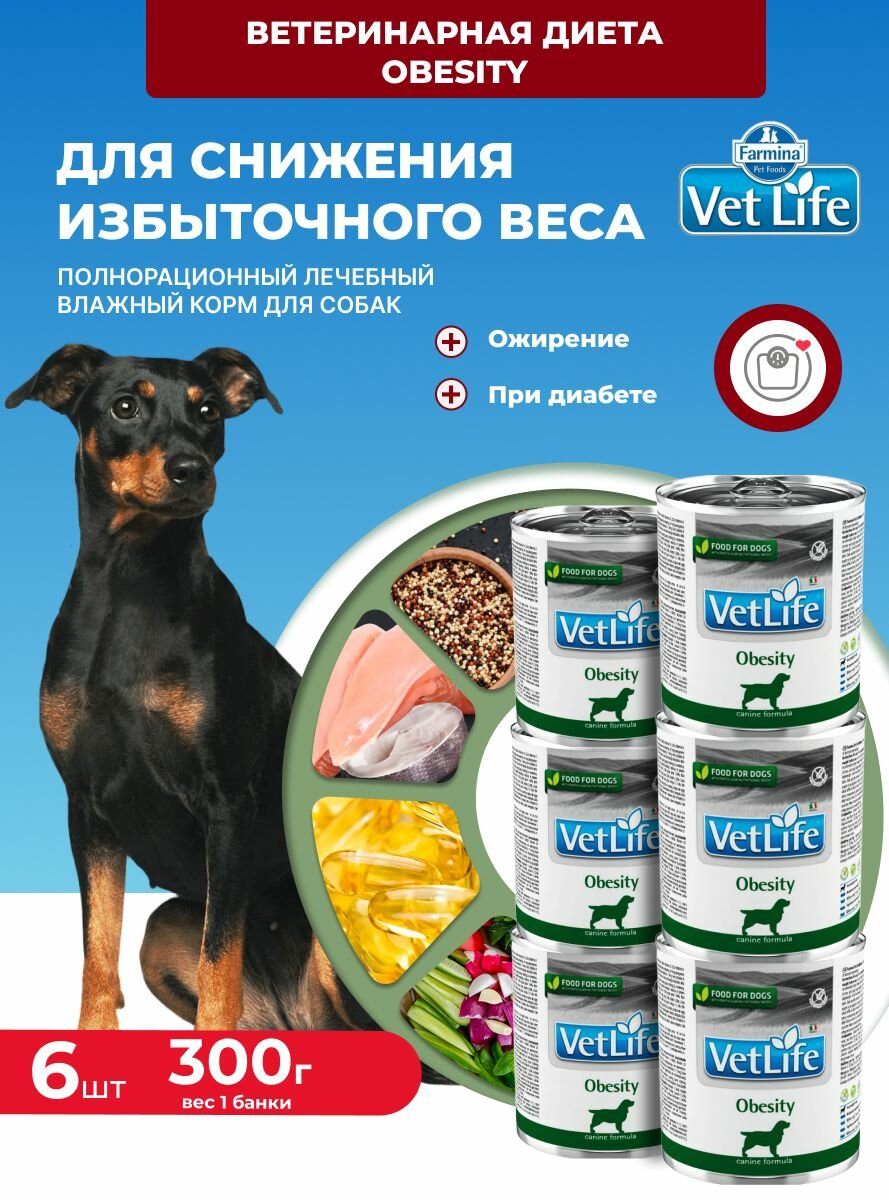 Диетический влажный корм для собак 6 шт 300г Контроль веса, ожирение, избыточный вес, Farmina Вет Лайф Обесити vet life obesity
