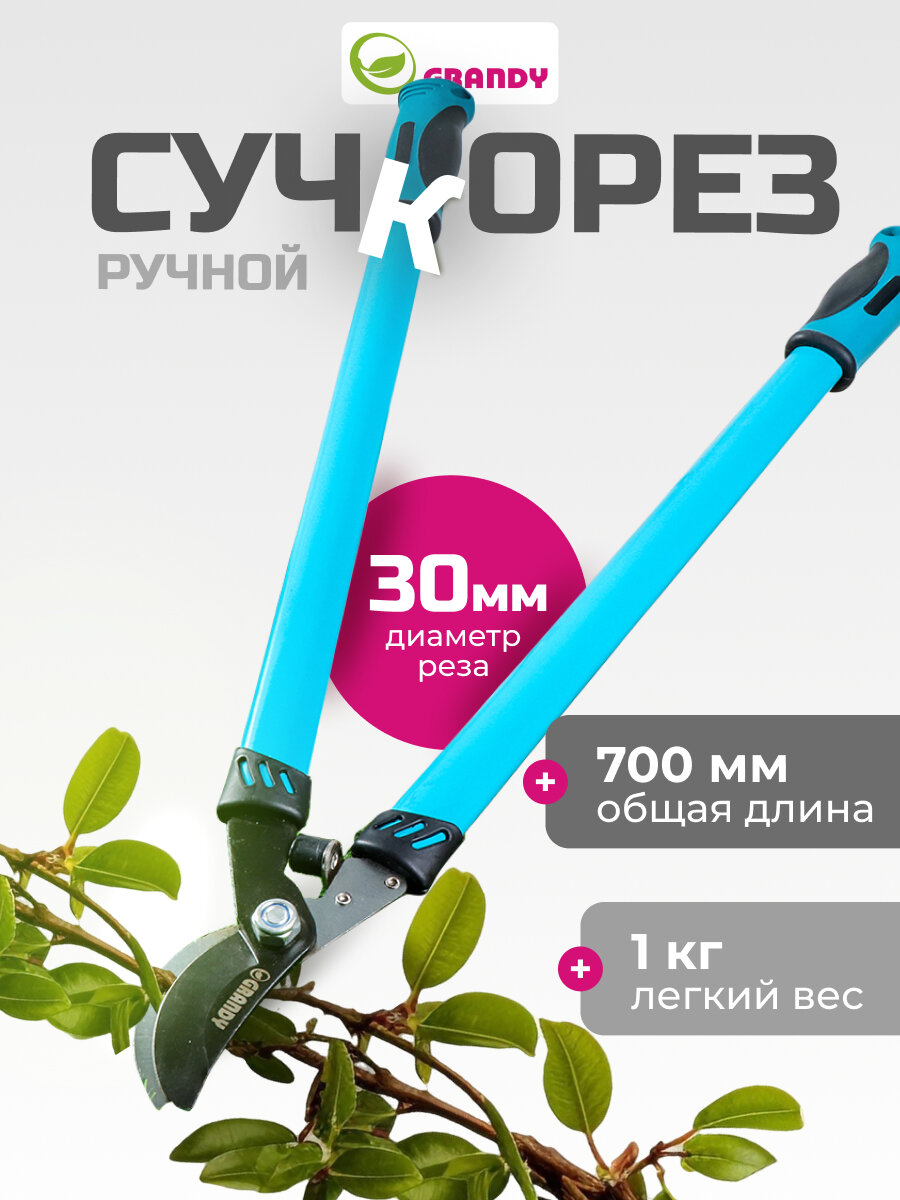 Сучкорез садовый для дачи и огорода, прямого реза, 700 мм, Grandy