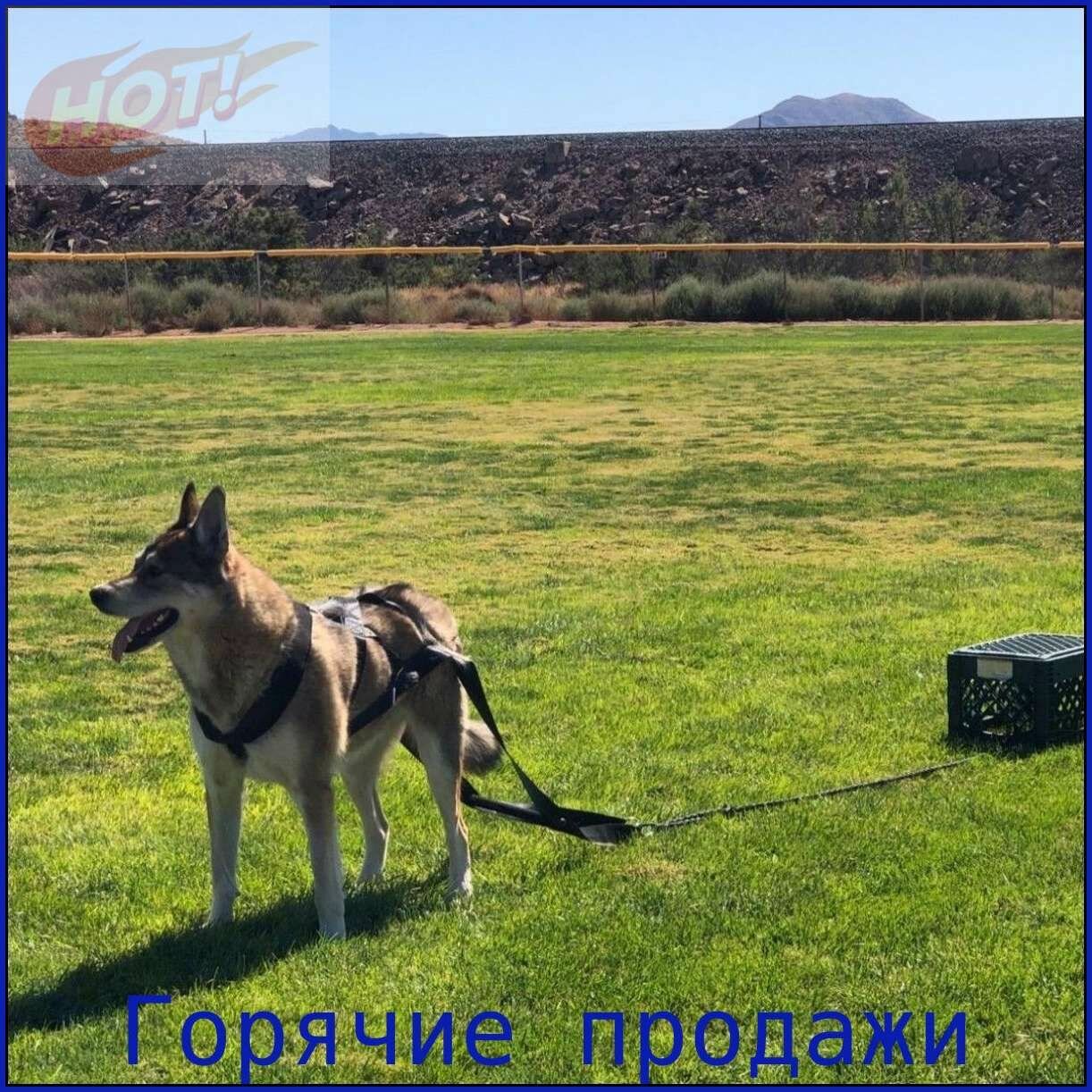 Ездовая шлейка для собак для тренировок, вейтпуллинга и катания на санях, Усиленная Y-образная упряжь для крупных пород (хаски, маламут, овчарка), для развития мышц